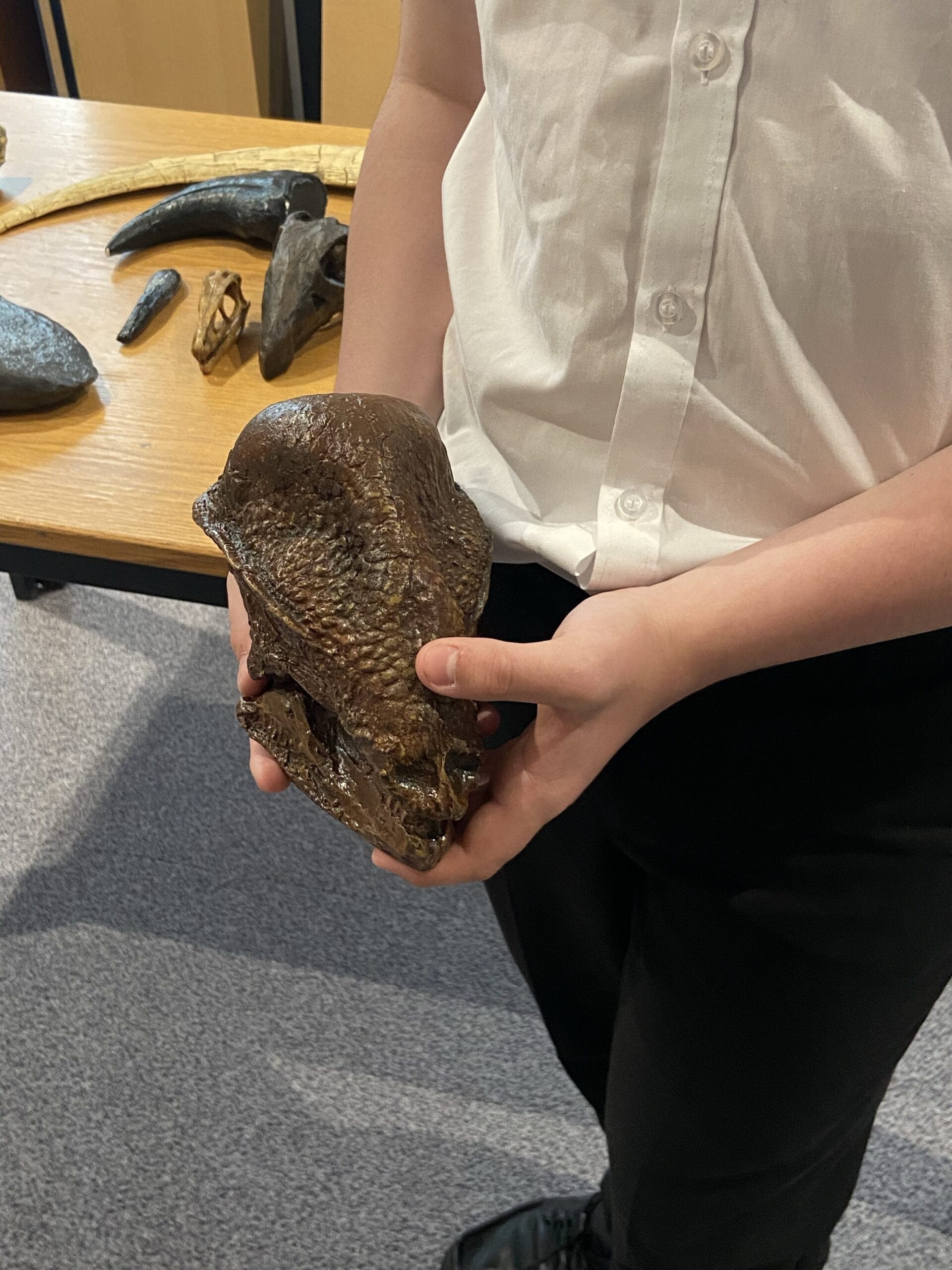 Dino experts help to inspire at Alder Hey | Alder Hey Children's Charity